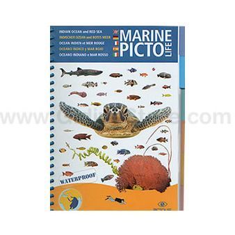 Pictolife Red Sea & Indian Ocean Sea-life Guide Scuba Diving Buy and ...