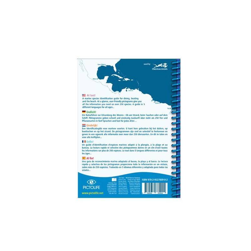 Pictolife Tropical Atlantic / Caribbean Sea-life Guide Scuba Diving Buy ...
