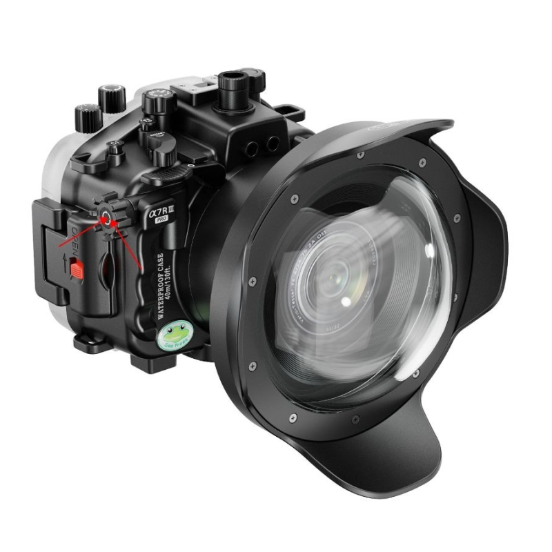 Sea Frogs - Buy online and sales in Gidive Store