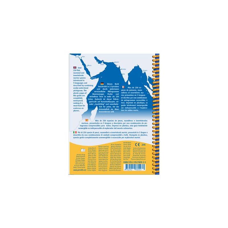 Pictolife Red Sea & Indian Ocean Sea-life Guide Scuba Diving Buy and ...