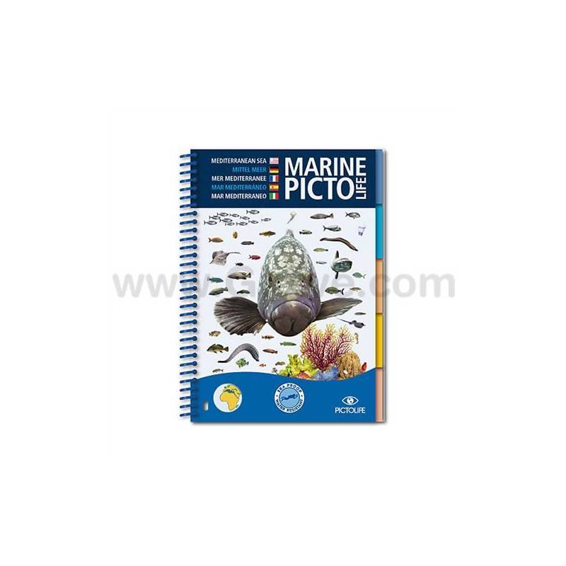 Pictolife Mediterranean Sea-life Guide Scuba Diving Buy and Sales in ...