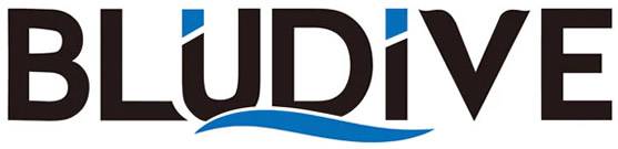 Bludive - Buy online and sales in Gidive Store